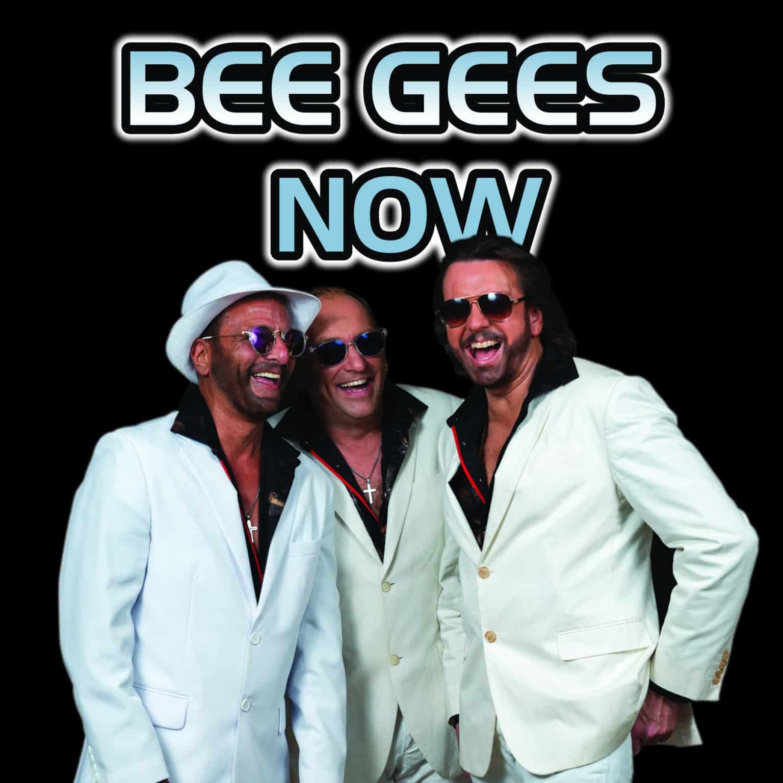 Bee Gees NOW